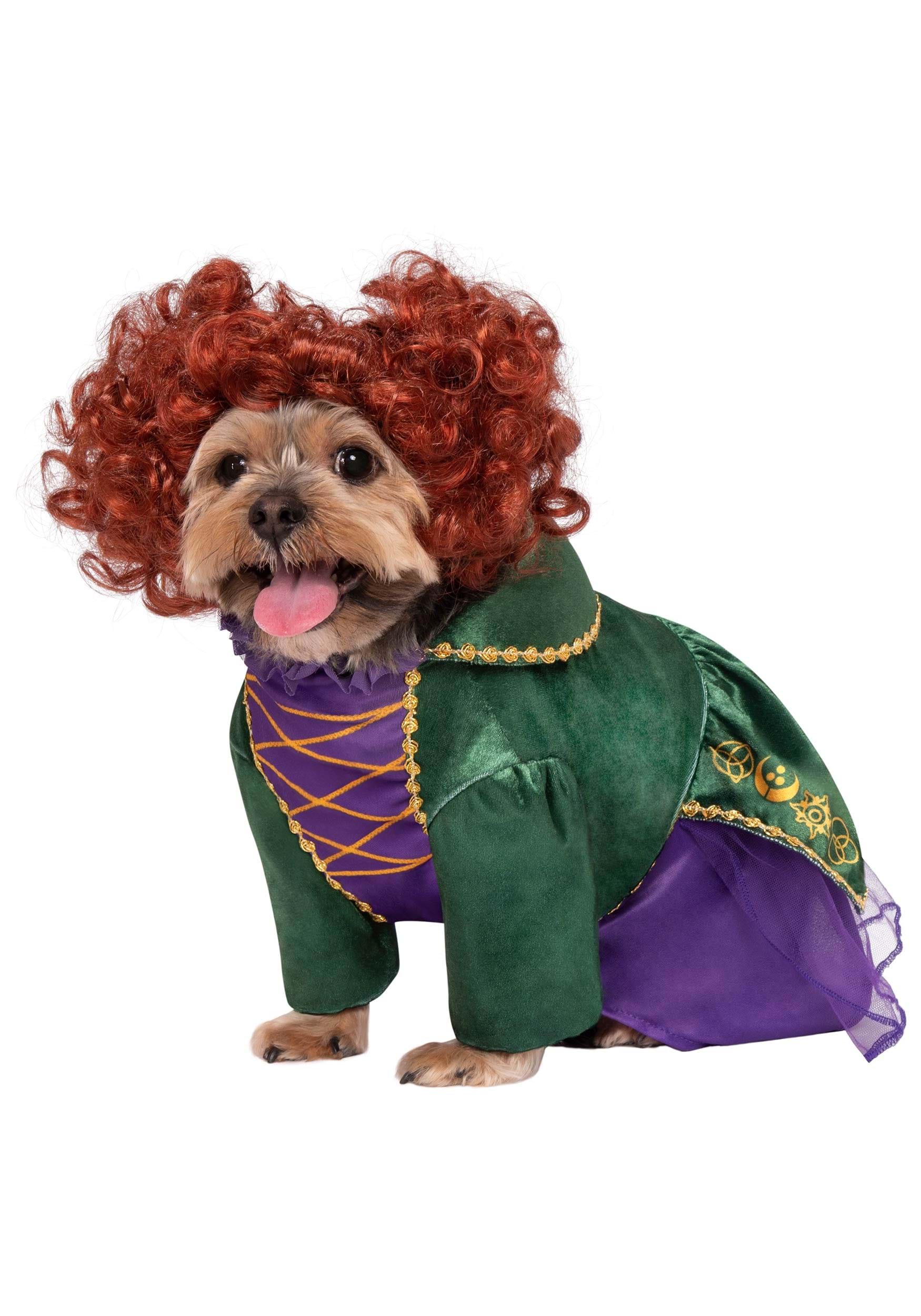 Pet Hocus Pocus Winifred Sanderson Pet Costume | Halloween Cat Costumes