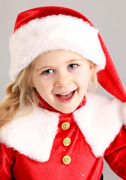 Premium Santa Girl's Toddler Costume Dress | Christmas Costumes