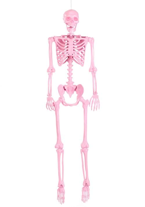 Poseable Crazy Bones 5 Foot Skeleton in Pink | Halloween Decorations