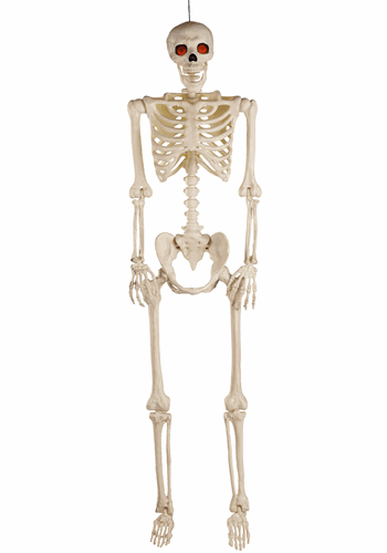 Deluxe 5FT Flaming Light Up Eyes & Talking Skeleton Halloween Prop ...