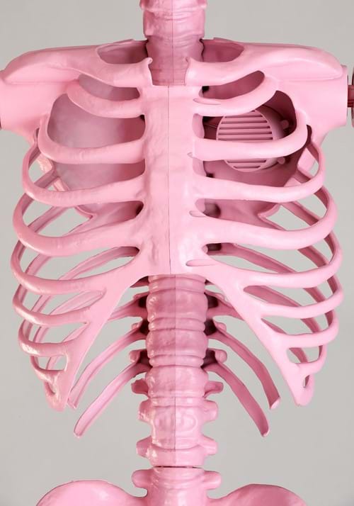 Ms. Vanderbones 8FT Pink Skeleton Halloween Prop | Skeleton Decorations