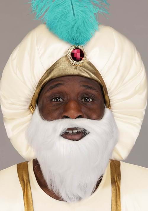 Disney Aladdin Sultan Men's Costume | Disney Costumes