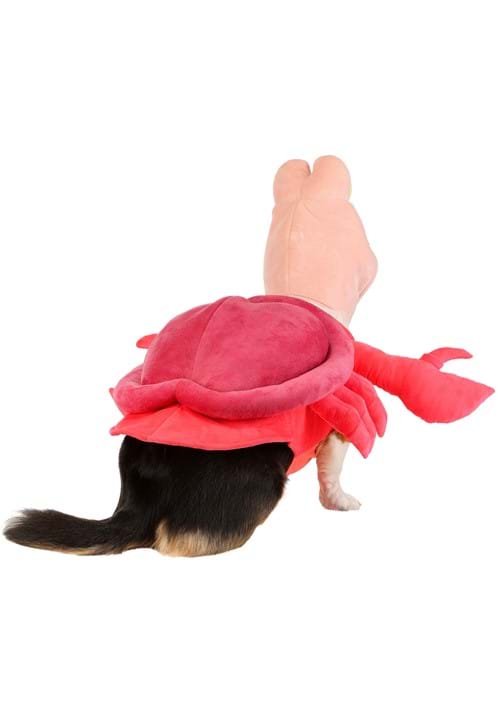 Disney Pet Sebastian Costume | Disney Pet Costumes